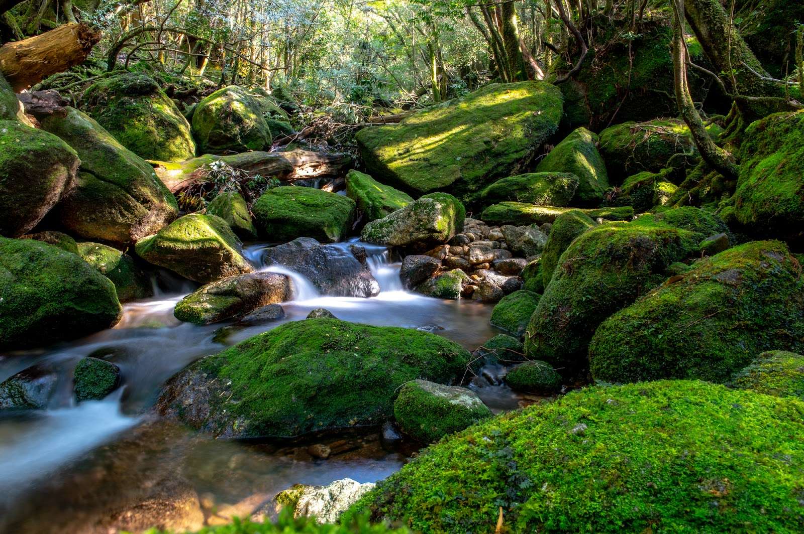 2泊3日で満喫！国内旅行のおすすめスポット10選を紹介 → 【公式 ツギツギ】東急の定額宿泊サービス